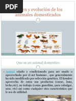 Metabolismo Animal | PDF | Metabolismo | Digestión