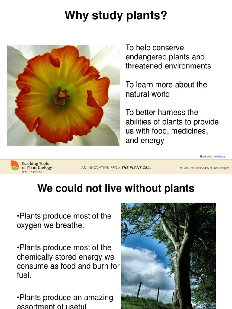 Lect 1 Plant Bio Intro | PDF | Plants | Nutrients