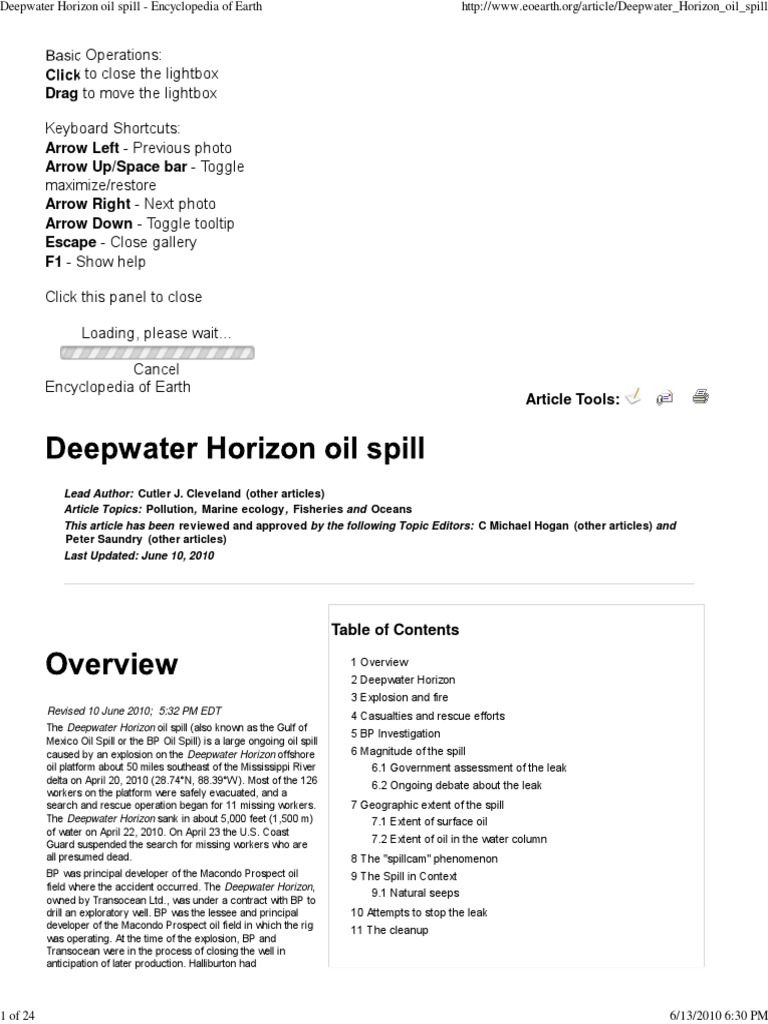 Deepwater Horizon Oil Spill | PDF | Deepwater Horizon | Deepwater ...