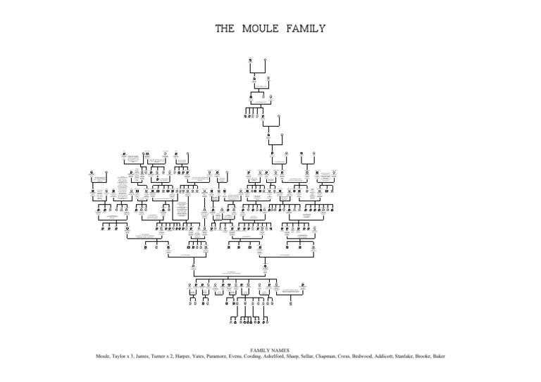 Moule Family History in Somerset | PDF