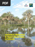 Clasificación de Suelos en El Paraguay | PDF | Agricultura | Suelo