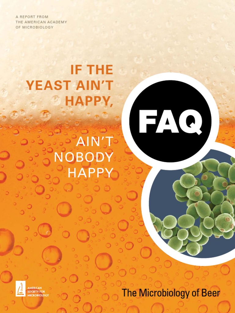 Microbiology of Beer | PDF | Brewing | Beer