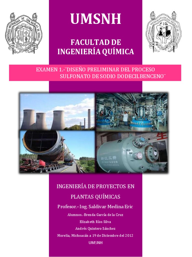 Diseño Preliminar Del Proceso Sulfonato de Sodio Dodecilbenceno | PDF ...
