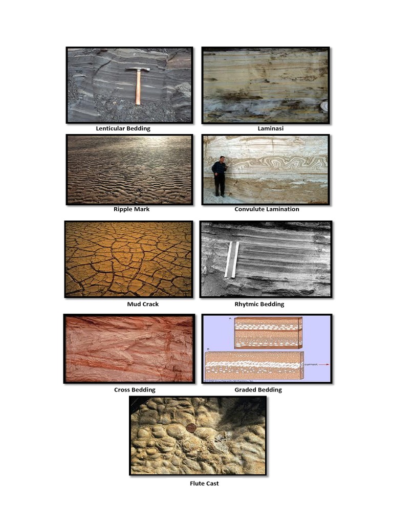 Sedimentary Structures Guide | PDF
