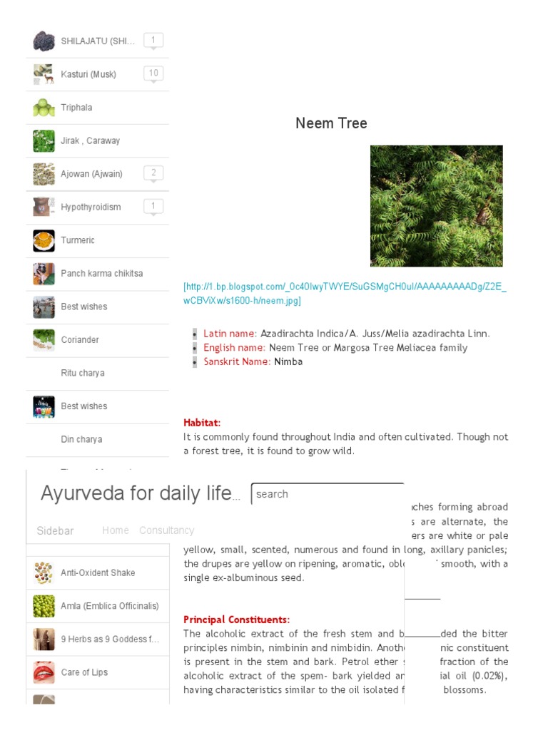 Neem Tree | PDF | Plants | Horticulture And Gardening