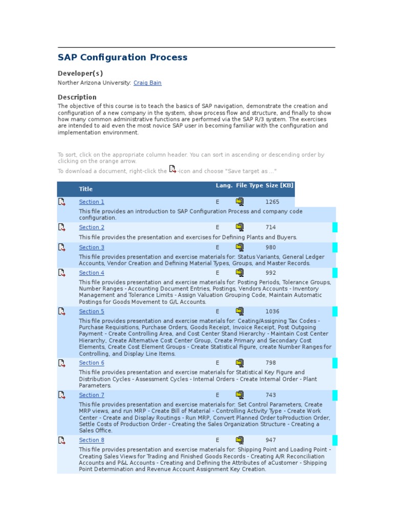 Sap Configuration Process Pdf Computing Software