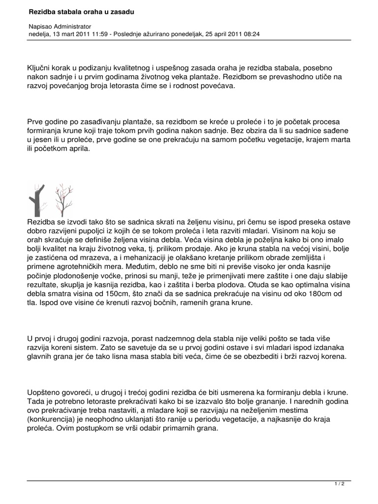 Rezidba Stabala Oraha U Zasadu | PDF