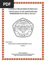 Laporan Praktikum Plasmolisis Dan Deplasmolisis | PDF