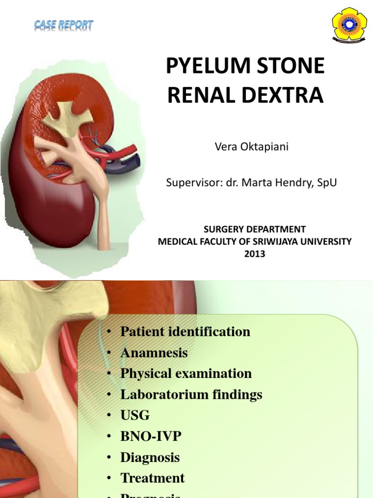 Batu Pielum | Download Free PDF | Pain | Kidney