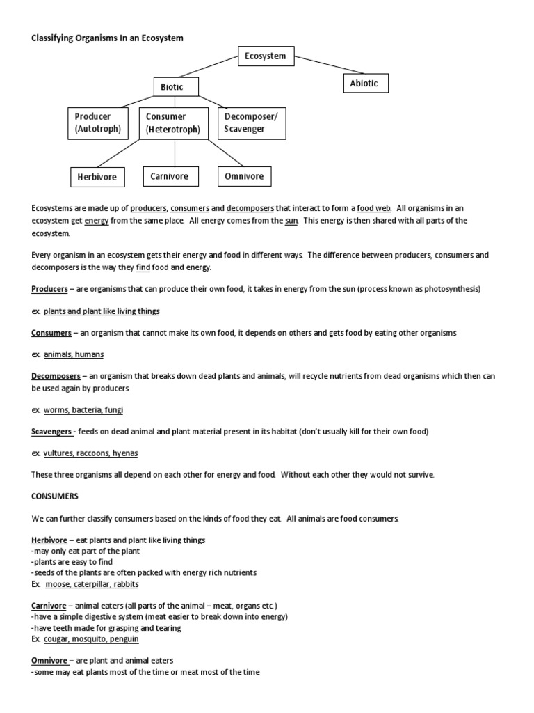 Classifying Organisms in An Ecosystem - Fill in The Blank | PDF ...