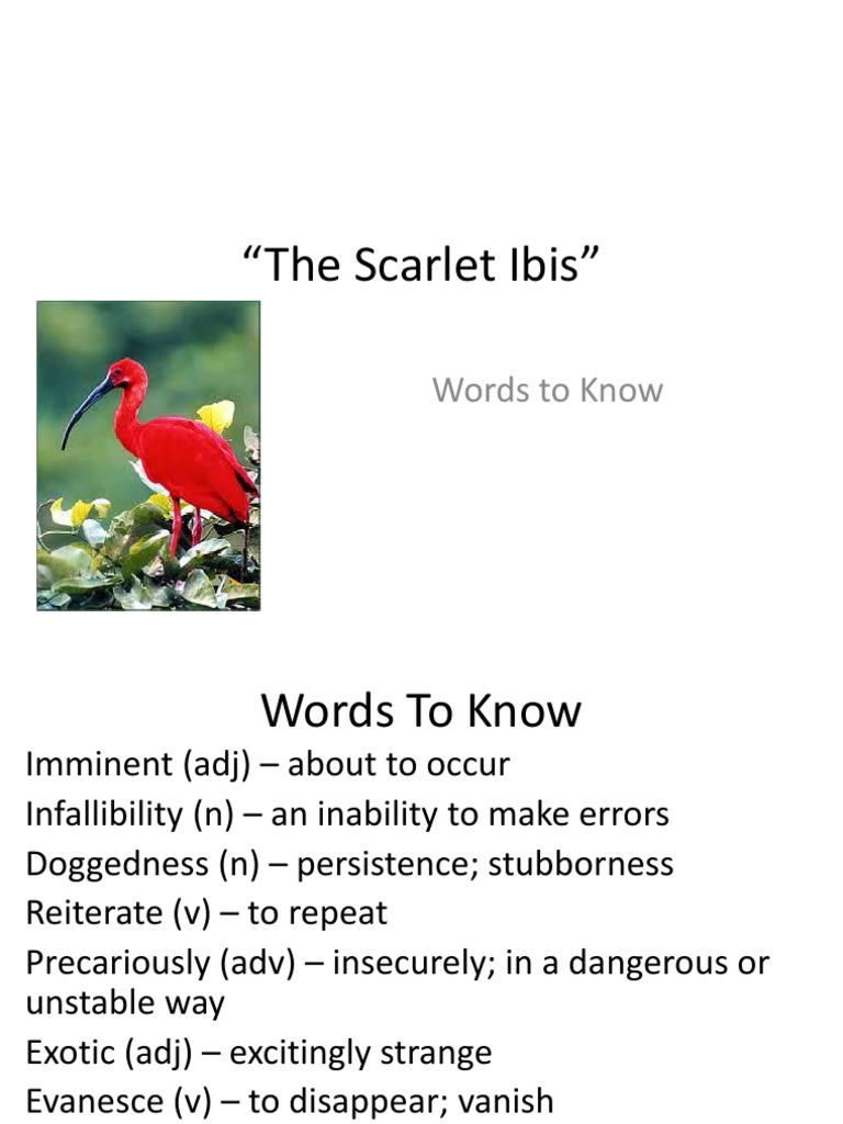 Symbolism and Themes in "The Scarlet Ibis" | PDF