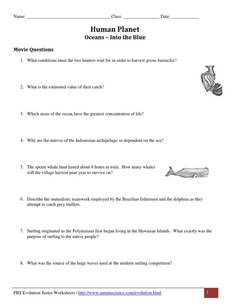 Human Planet Worksheet - Oceans, Into The Blue | PDF | Sea | Human