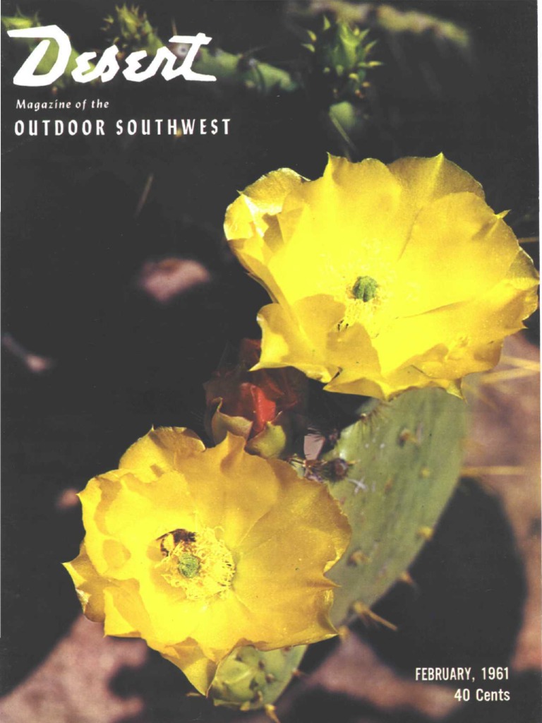 Desert Magazine 1961 February | PDF | Mail | Nature