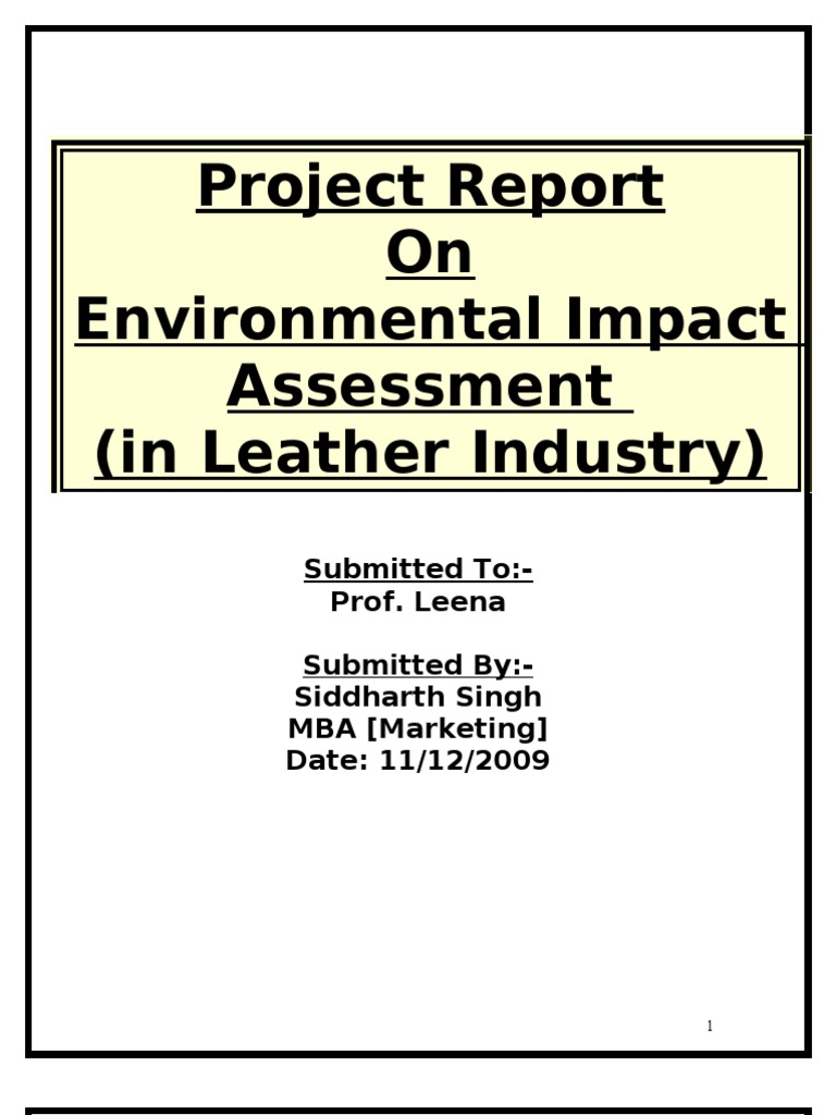 Environmental Impact Assessment - Report | PDF | Technology & Engineering