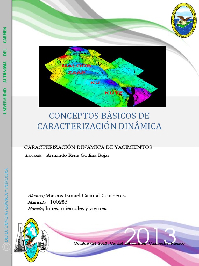 Conceptos de Caracterización Dinámca de Yacimientos PDF | PDF | Mojada ...