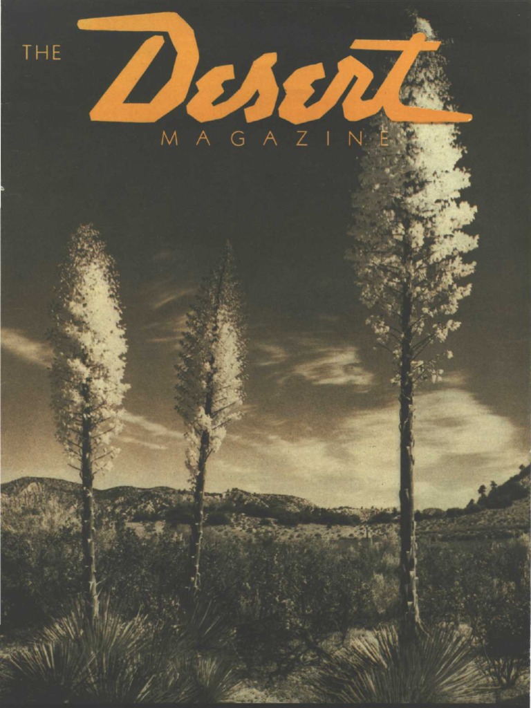 Desert Magazine 1951 April | PDF | Nature