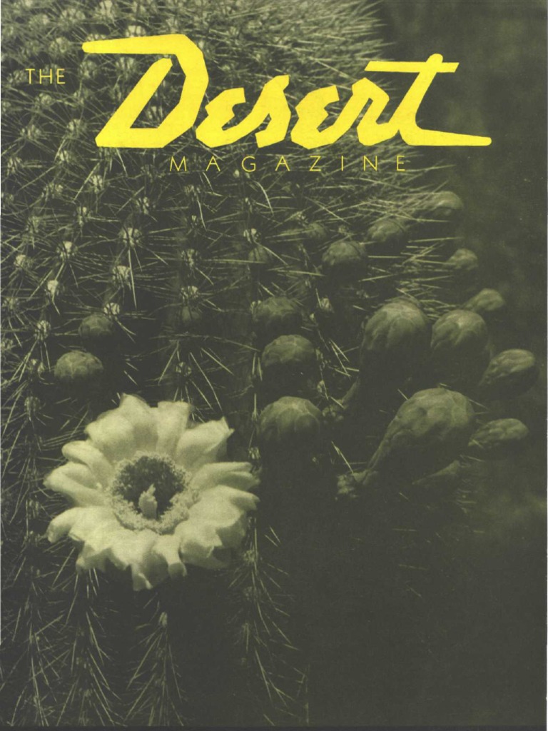 Desert Magazine 1951 May | PDF | Colorado River | Canyon