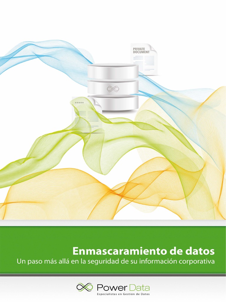 Guía Definitiva Enmascaramiento de Datos | PDF | Plataforma como ...