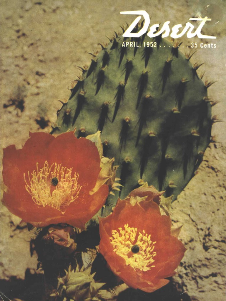 Desert Magazine 1952 April | PDF | Nature