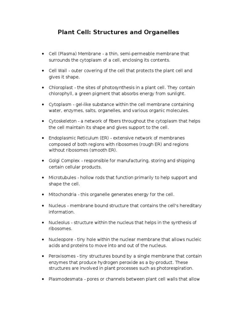 Plant Cell: Structures and Organelles | PDF | Science & Mathematics