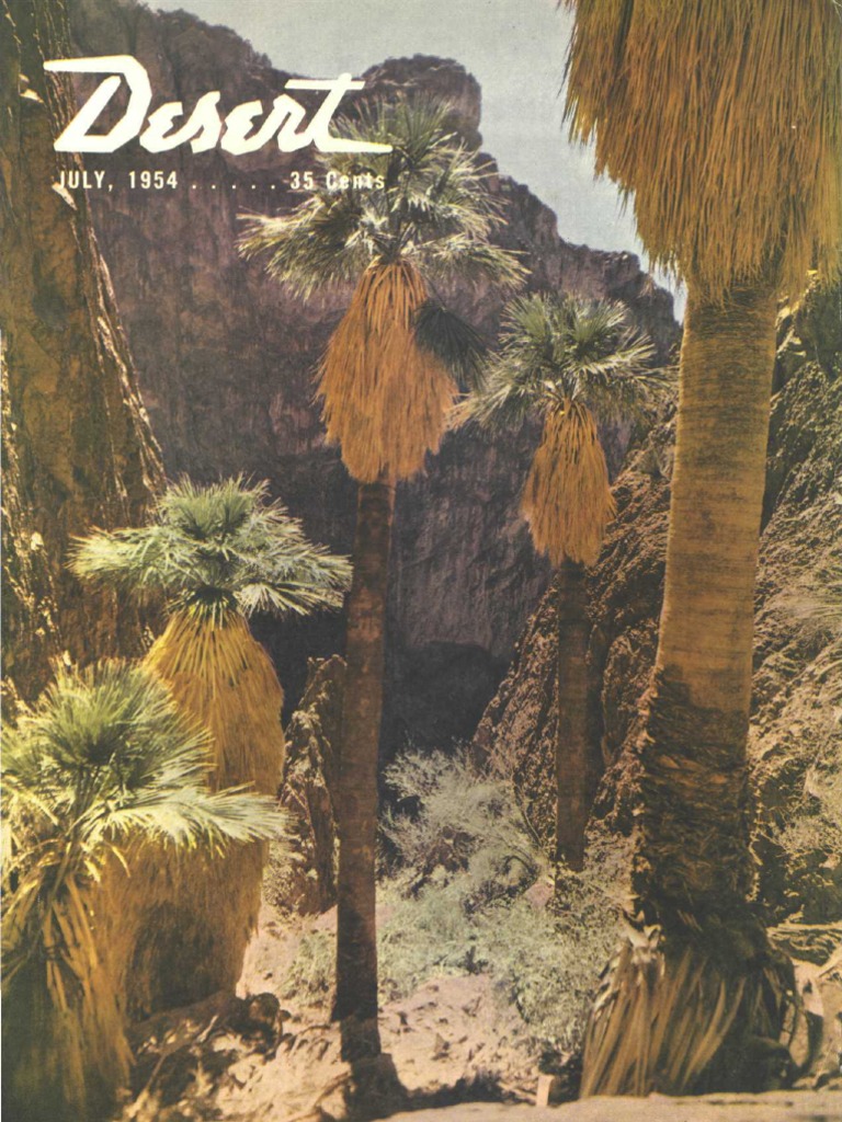 Desert Magazine 1954 July | PDF | Gemstone | Arizona