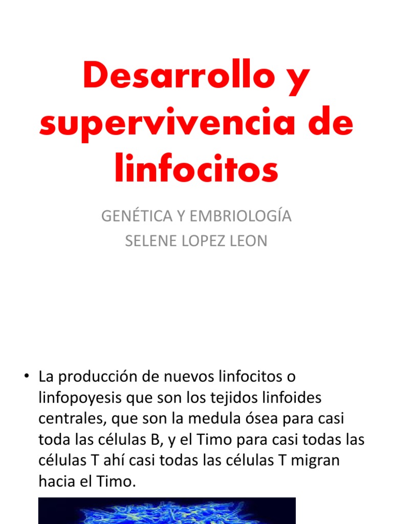 Desarrollo Y Supervivencia De Linfocitos Embriologia Pdf Célula T