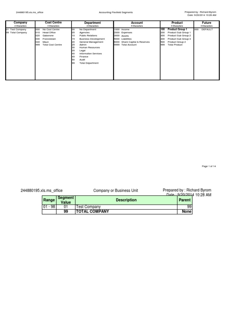 Oracle Chart of Accounts Overview | PDF