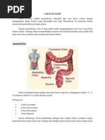 Teknik Radiografi Colon In Loop | PDF