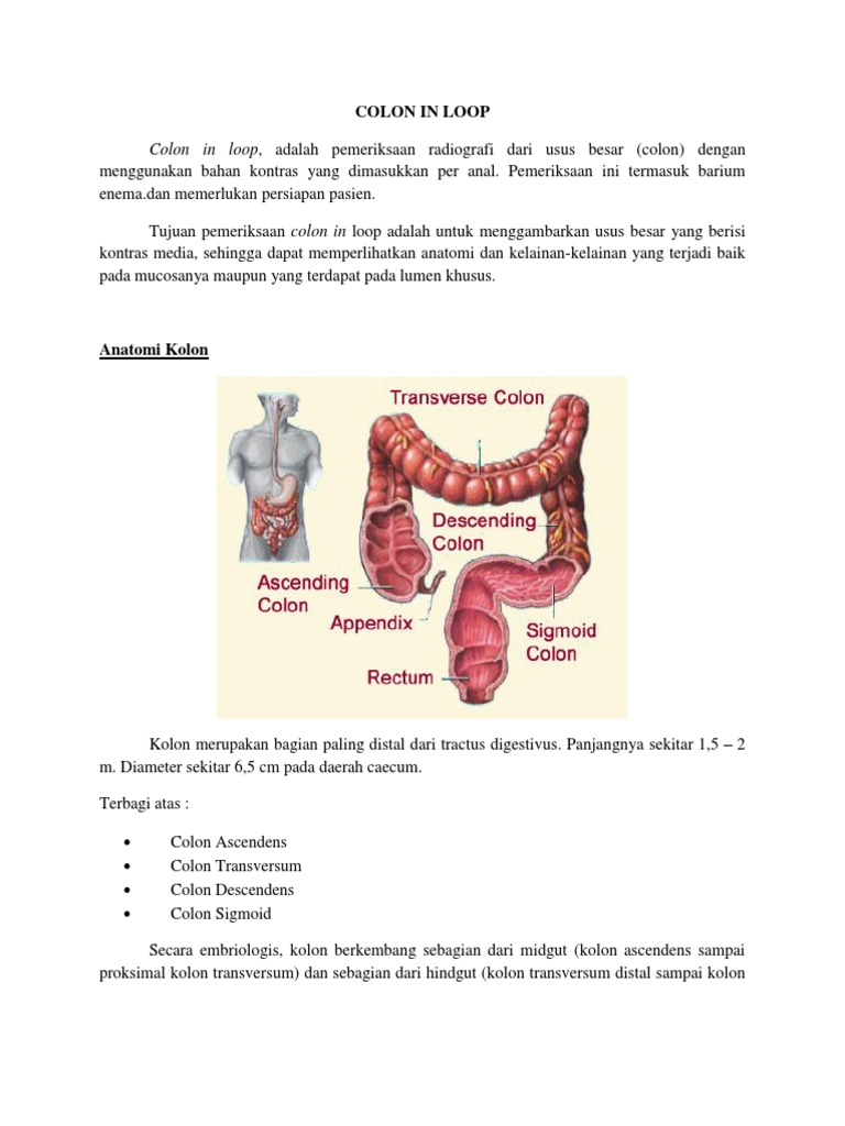 Colon in Loop | PDF | Ilmu Sosial | Kesehatan Holistik