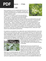 Cápsula de Glisson | PDF | Tejido adiposo | Riñón