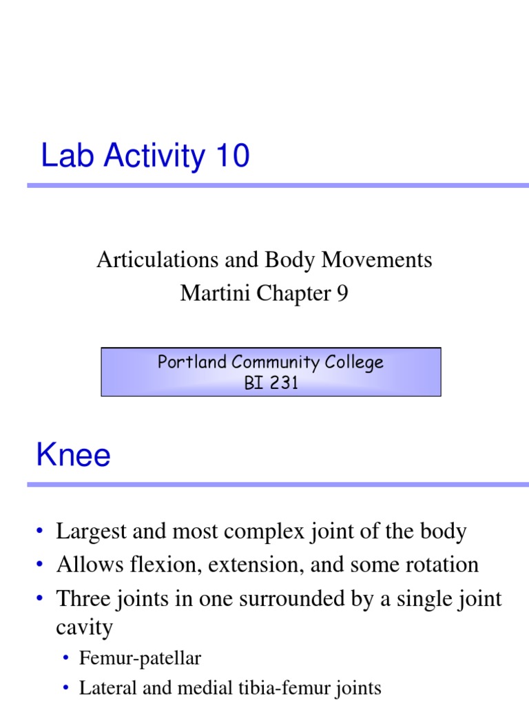 Knee Joint Movements and Anatomy | PDF | Wellness | Science & Mathematics
