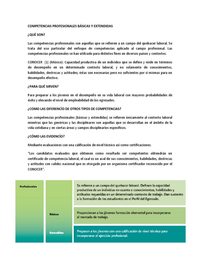 Competencias Profesionales Básicas Y Extendidas ¿Qué Son?