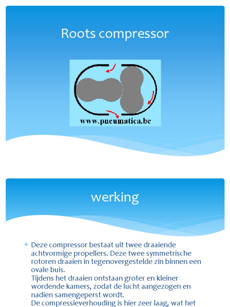 Roots Compressor | PDF