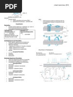 NM Beta Lactam Cross Reaction Table | PDF | Penicillin | Antibiotics