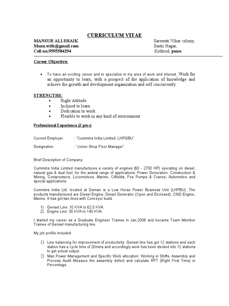 Curriculum Vitae | PDF | Diesel Engine | Cummins