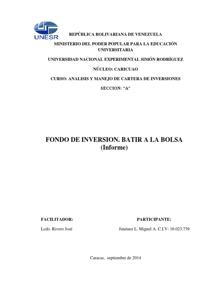 Fondo De Inversion Pdf Fondo De Inversión Economias