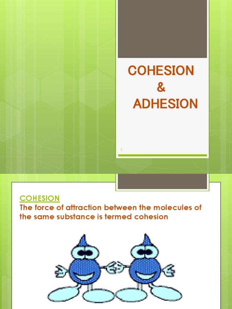 Cohesion and Adhesion Explained | PDF | Science & Mathematics