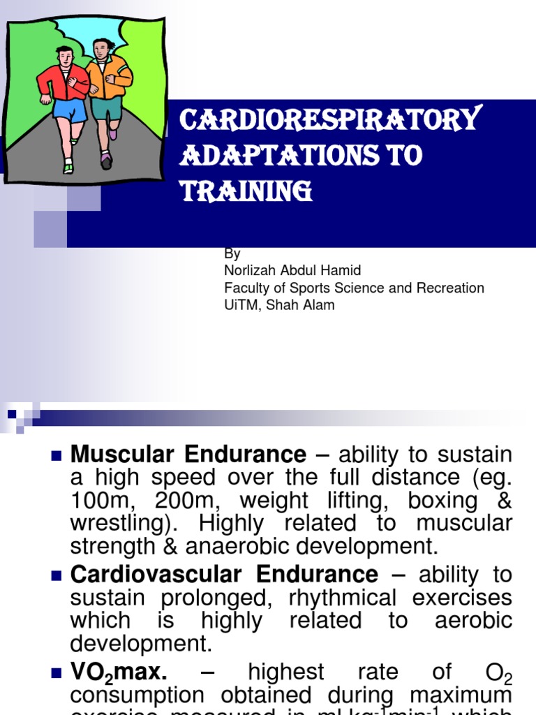 Topic 7 Cardiorespiratory Adaptations To Training | PDF | Respiratory ...