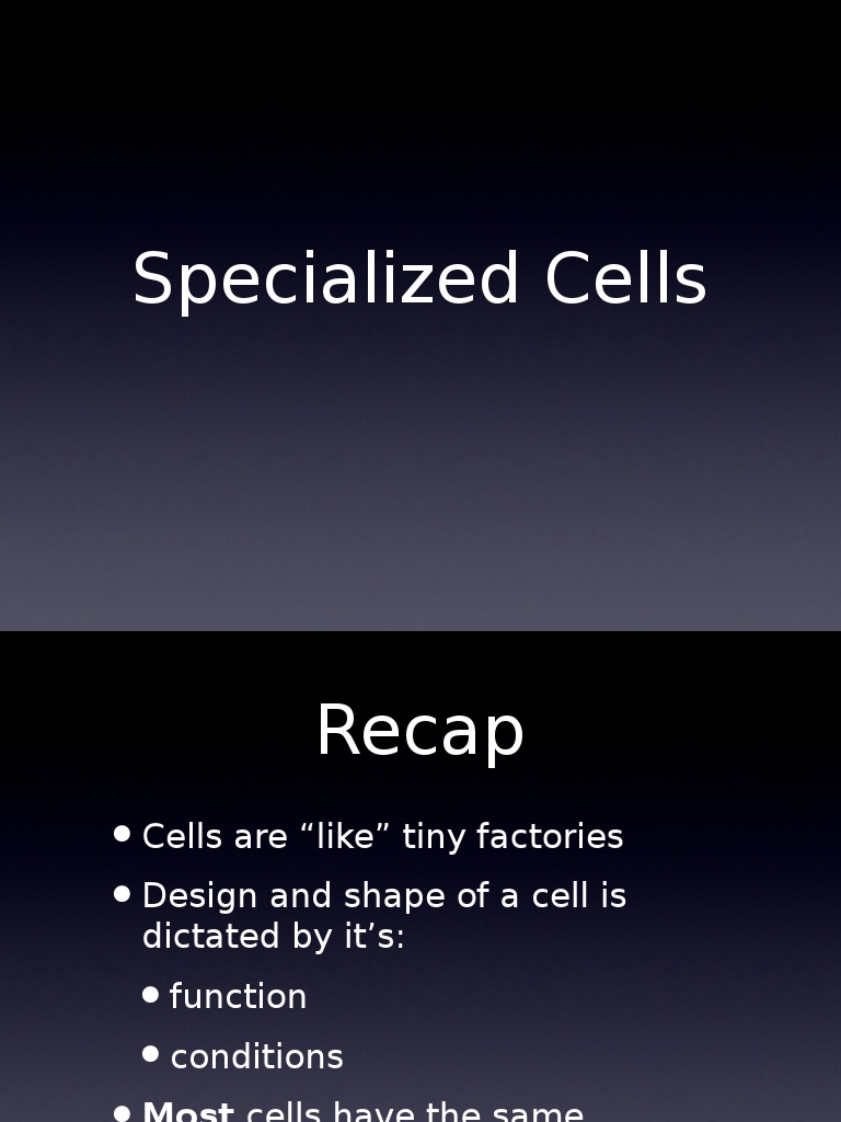 Cell Specialization | PDF | Red Blood Cell | Cell (Biology)