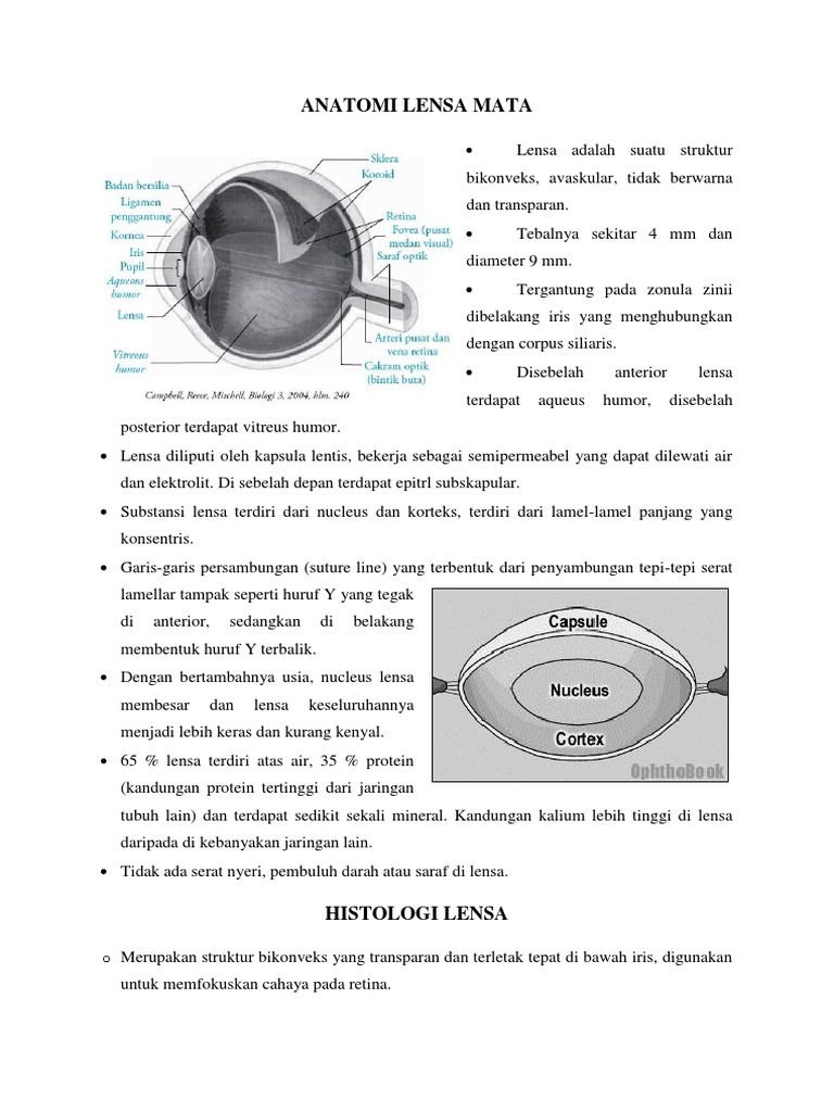 Anatomi Histologi Lensa Mata | PDF