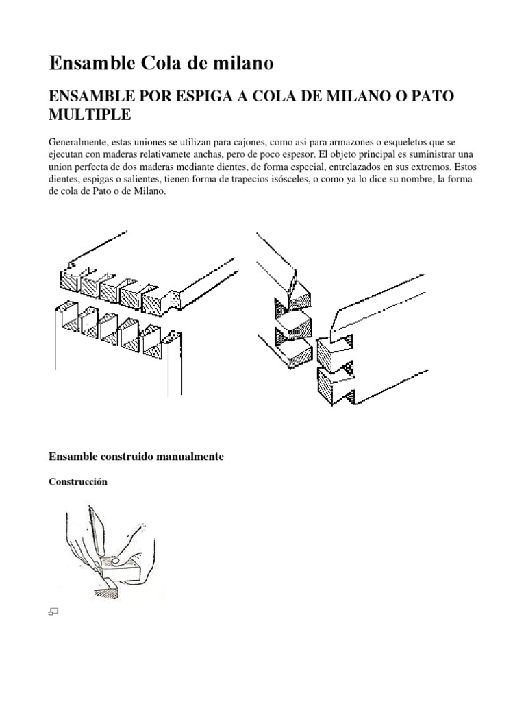 Ensamble Cola de milano.docx | Madera | Tornillo