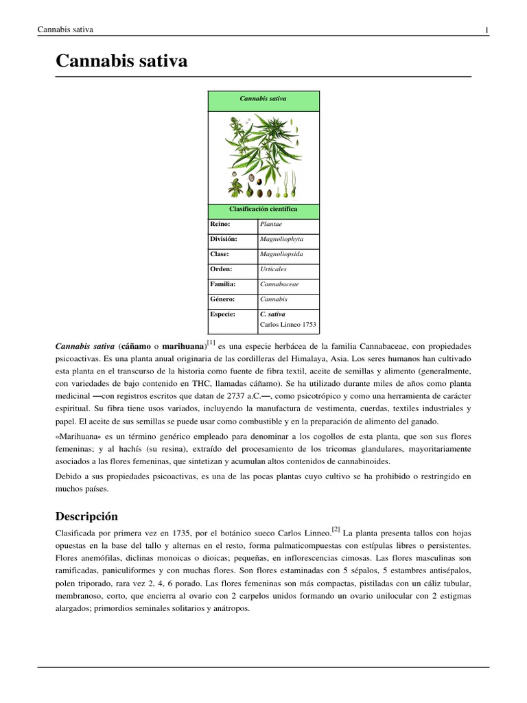 Cannabis Sativa | PDF | Reproducción de plantas | Terapias basadas en el medio ambiente natural