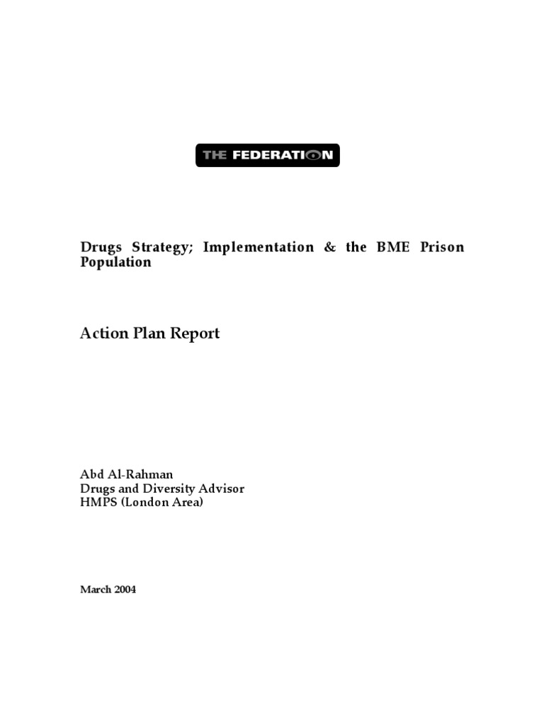 Action Plan Report: Drugs Strategy Implementation & The BME Prison ...