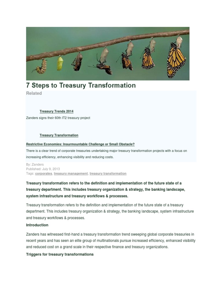 7 Steps To Treasury Transformation | PDF | Banks | Strategic Management