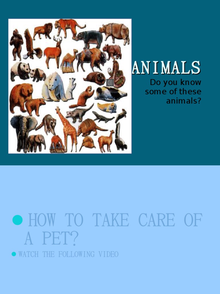 Learning About Animals! | PDF