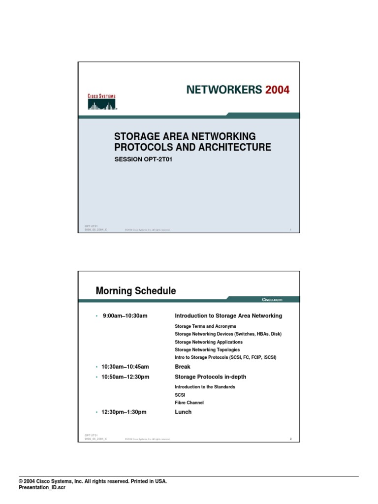 Storage Area Network Basics | PDF