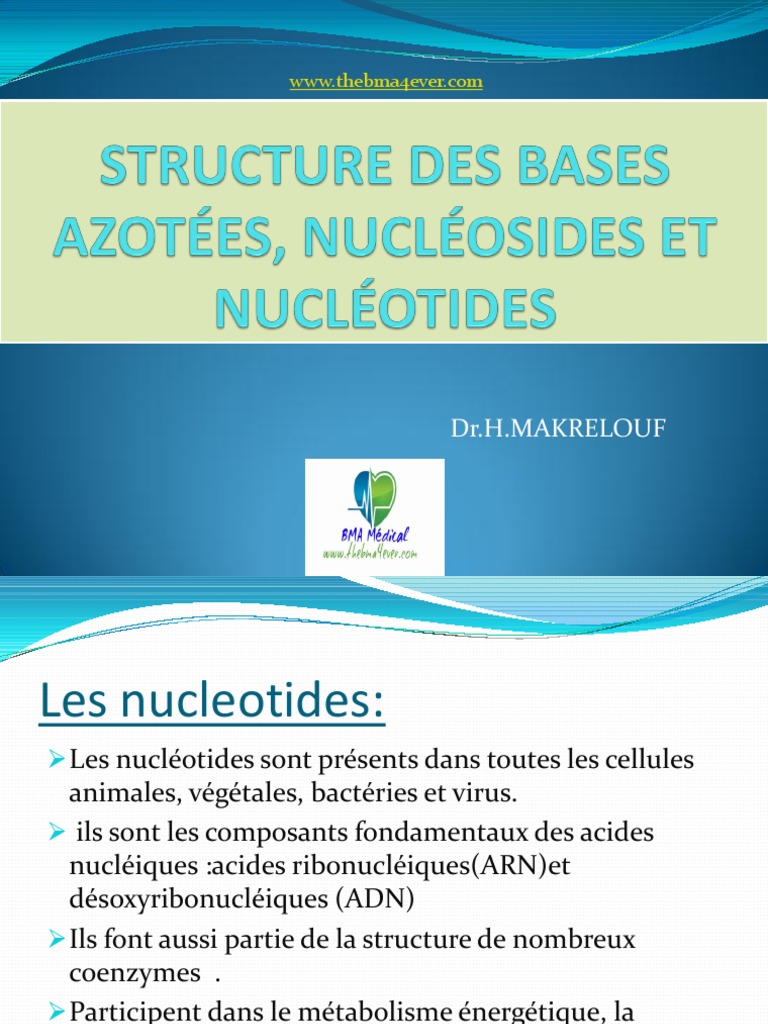 Structure Des Bases Azotées, Nucléosides Et Nucléotides | PDF ...