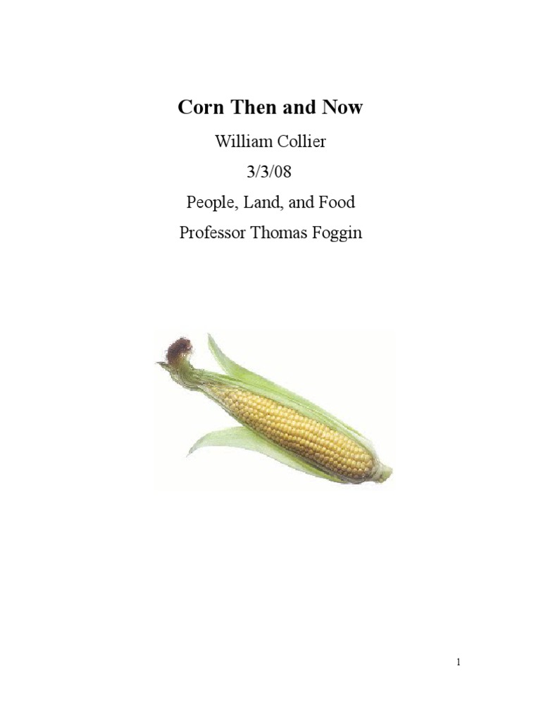 Corn Then and Now | Maize | Food Industry