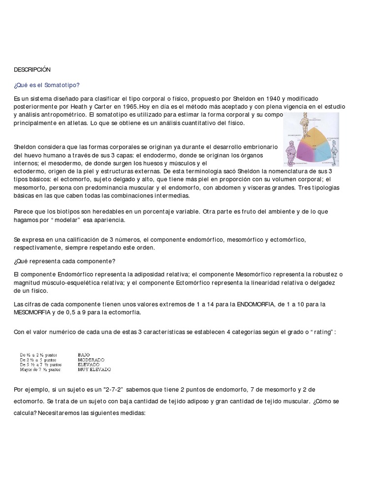 Somatotipos: Clasificación Corporal y Rendimiento Deportivo | PDF ...