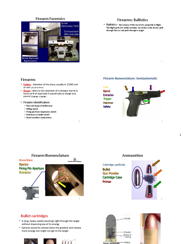 Firearms and Toolmark PPT 2013 | Download Free PDF | Bullet | Cartridge ...